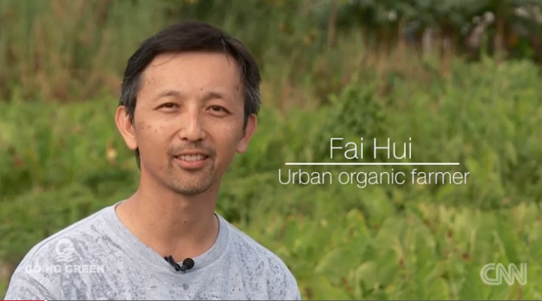 Urban Farming in Hong Kong on CNN – Go Green Hong Kong